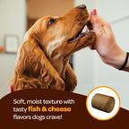 omega 3 for shiny dog fur