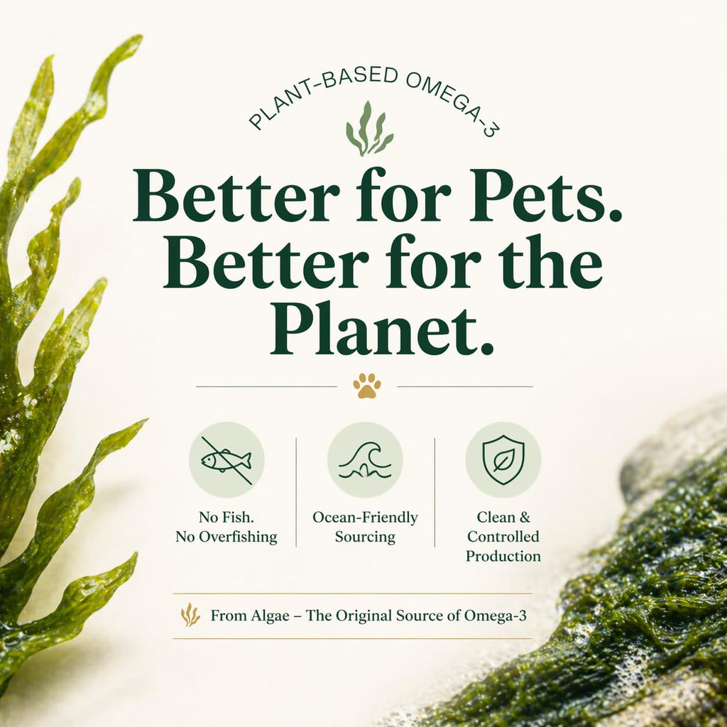 omega 3 for shiny pet coats