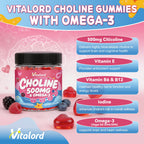 Omega 3 gummies for cognitive support