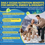 Omega-3 kids gummy vitamins