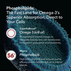 omega-3 rich krill oil capsules