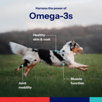 Omega 3 soft gels for wellness