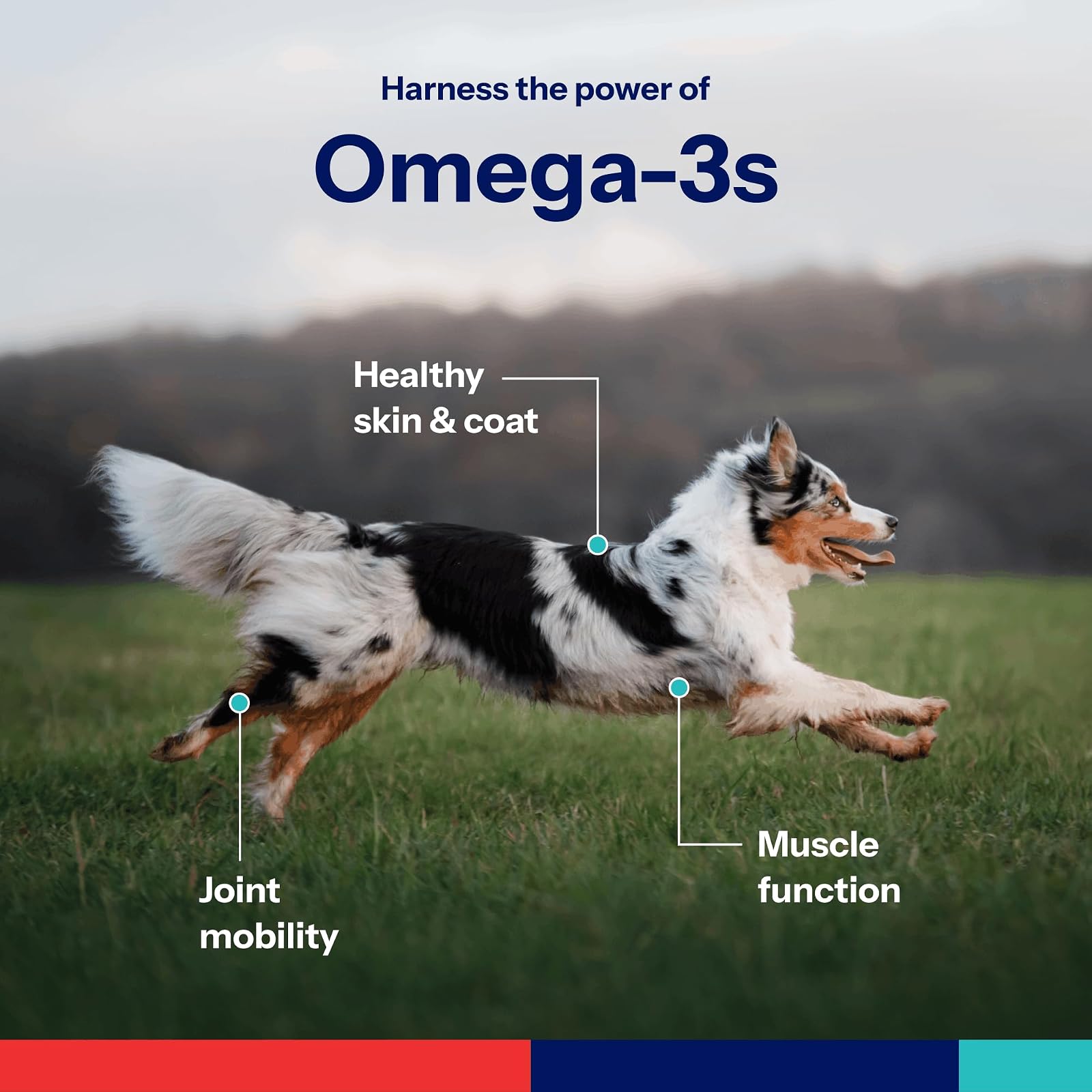 Omega 3 soft gels for wellness