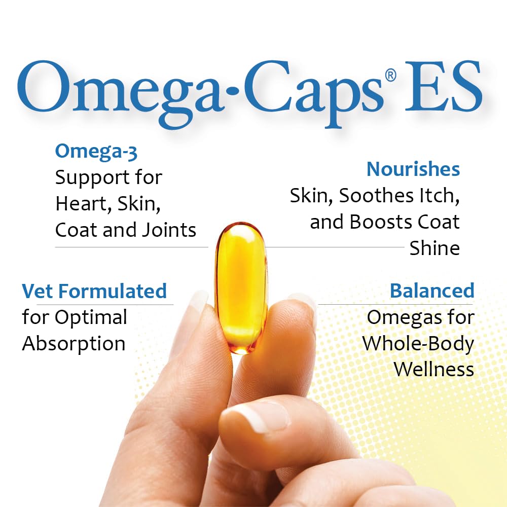 omega 3 softgel capsules for pets