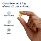 Omega 3 softgels for daily wellness