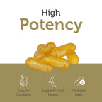 omega 3 softgels for daily wellness