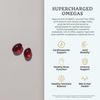 omega-3 softgels for daily wellness