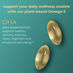 Omega-3 supplement for brain support
