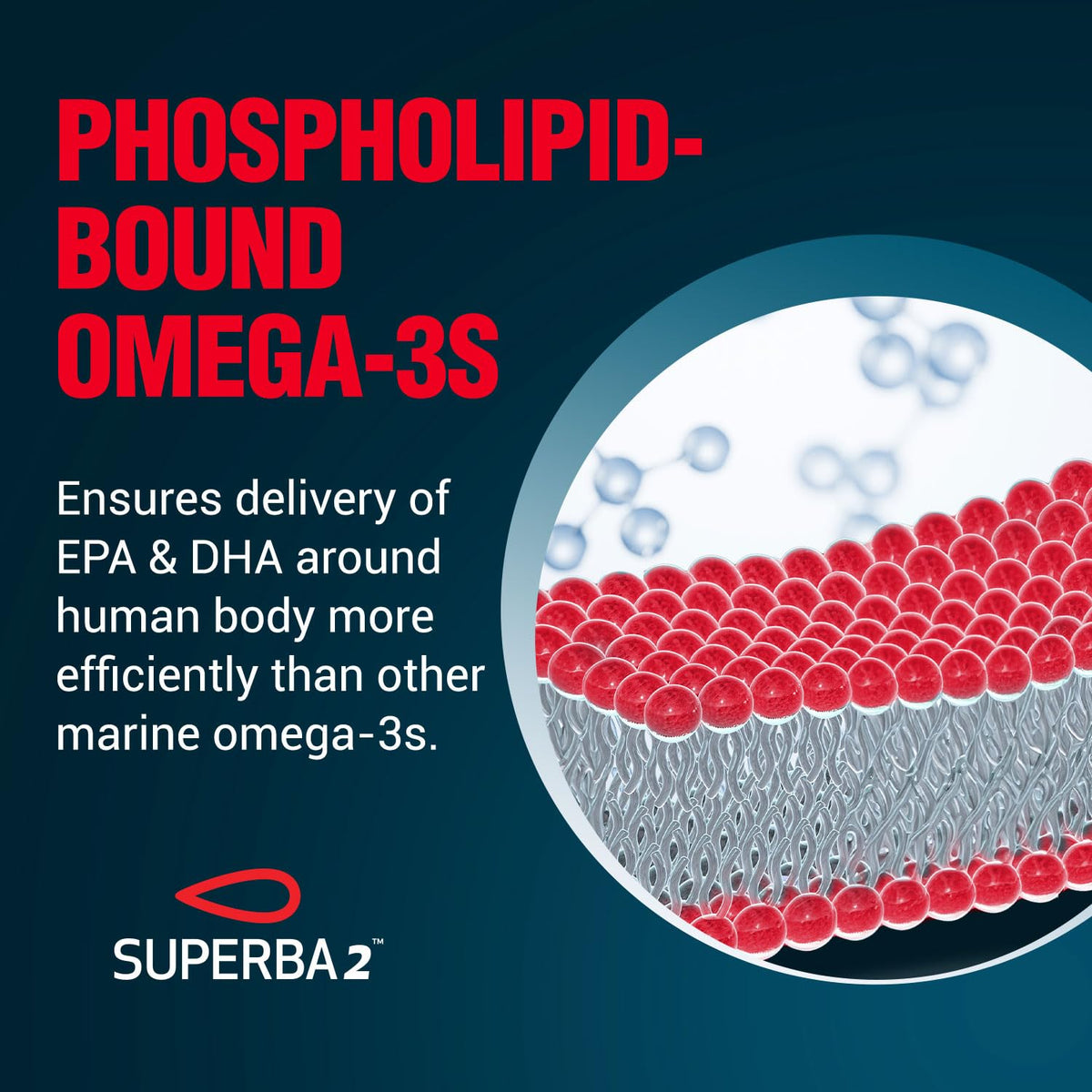 omega-3 supplement for heart health