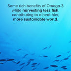 Omega 3 supplement for overall vitality
