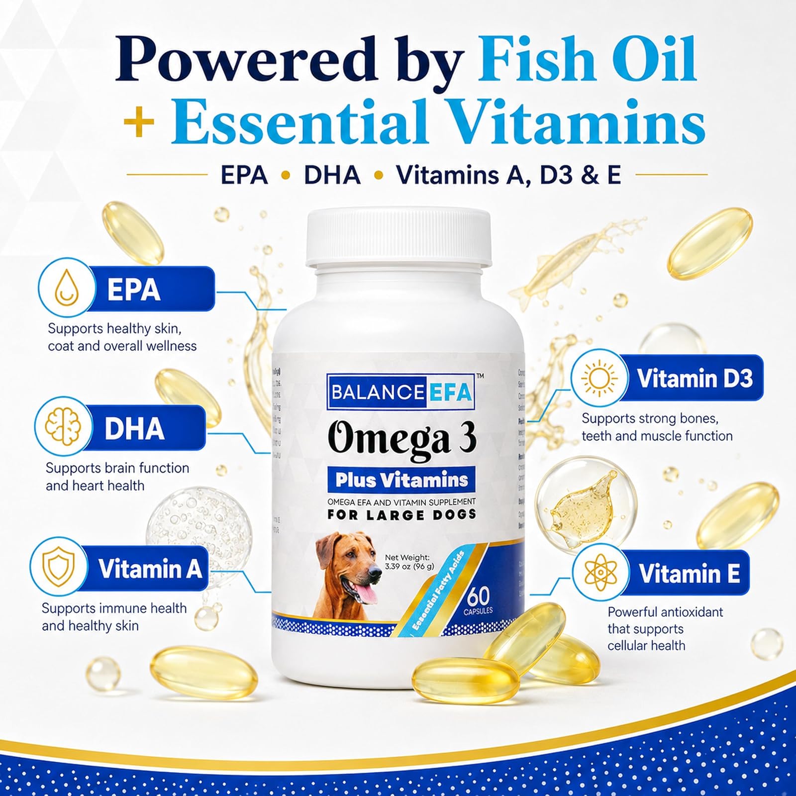 omega 3 support for dog health