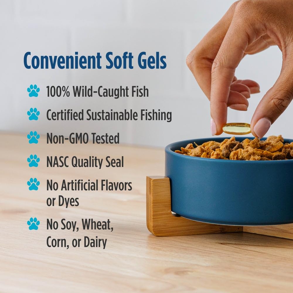 omega-3 support for dog joints