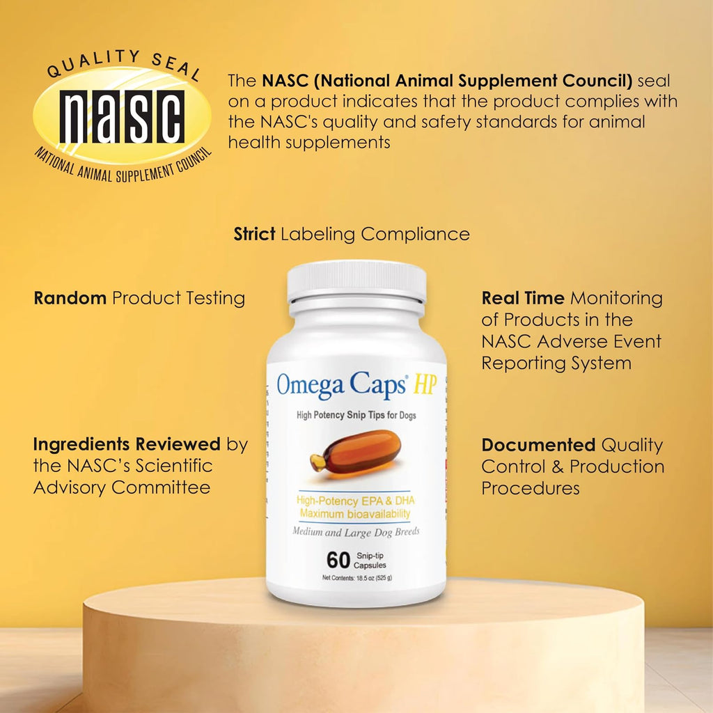 Omega Caps HP for brain function