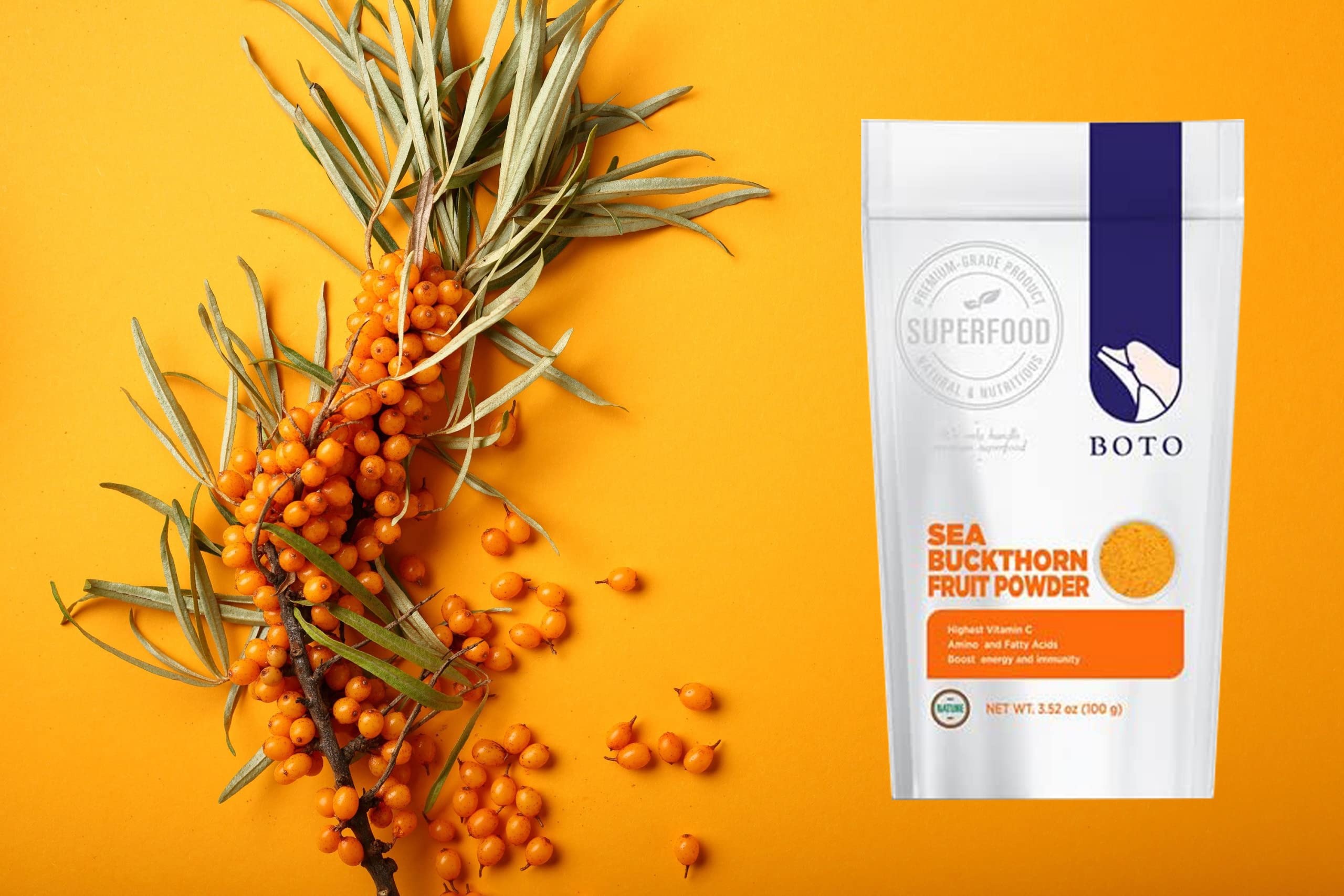 Omega-rich berry powder for smoothies
