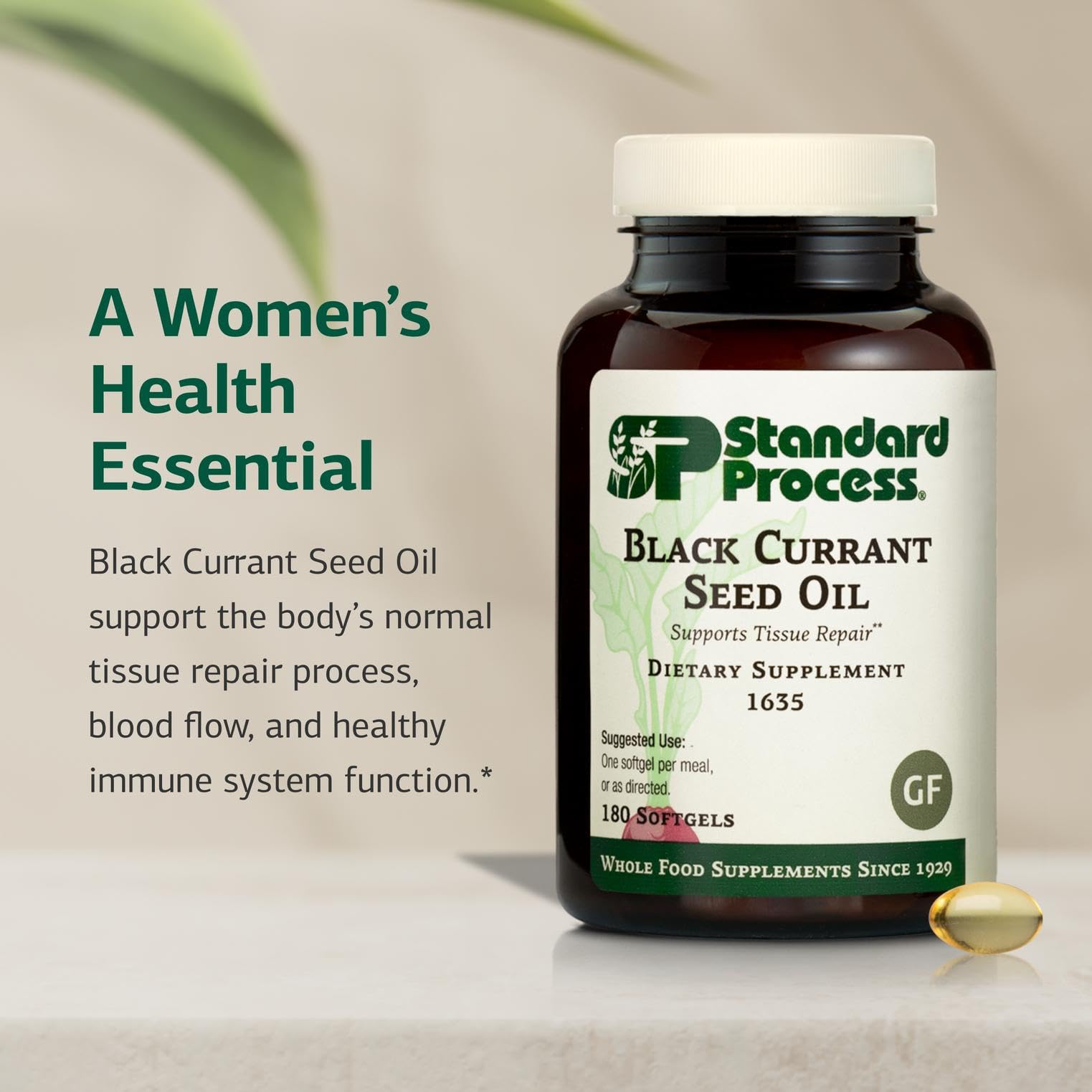 Omega-rich black currant oil softgels