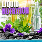 Omni IV liquid vitamin daily boost