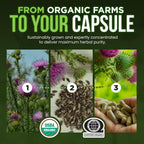 OmniBiotics milk thistle benefits