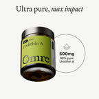 OMRE multivitamins for daily wellness