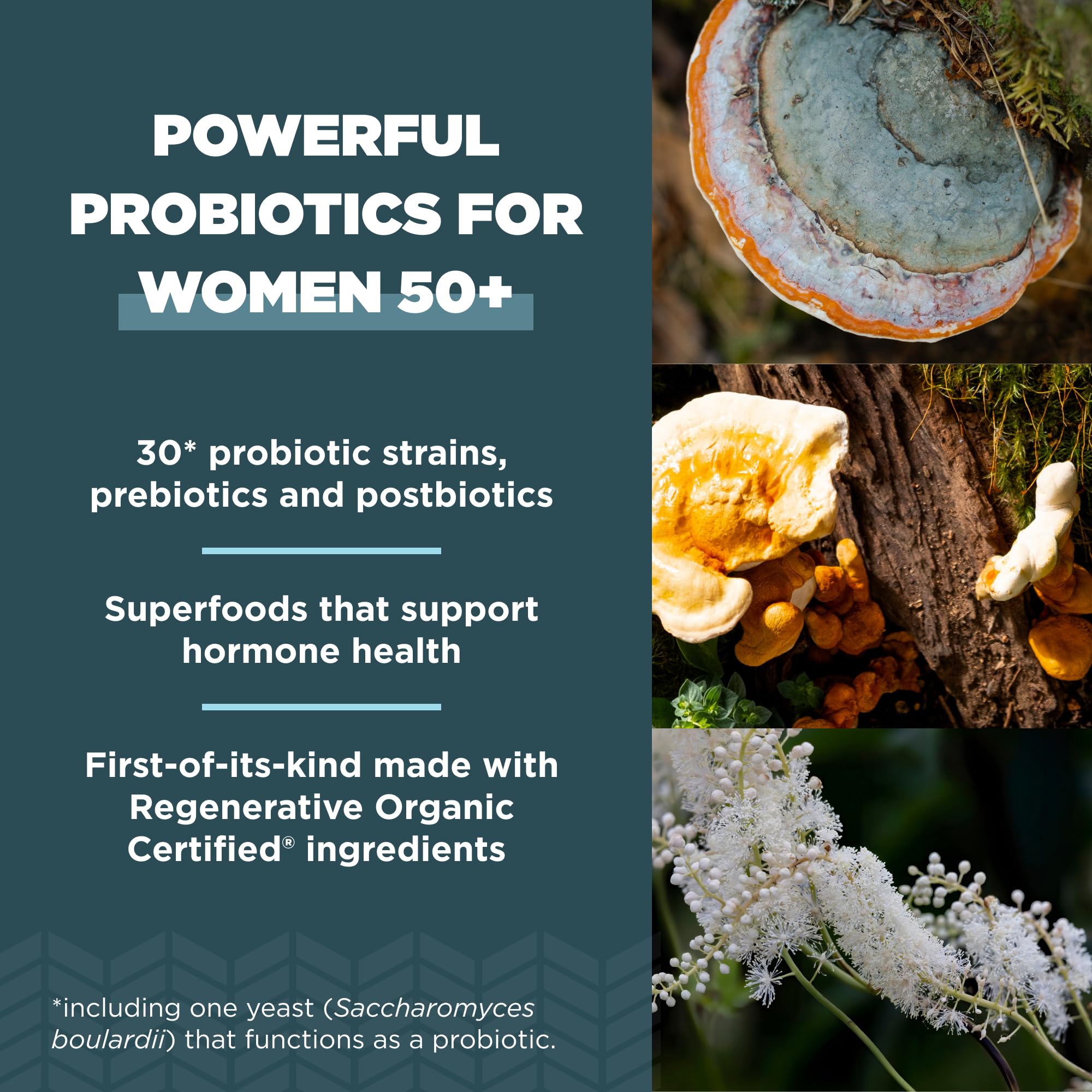 once daily probiotic supplement
