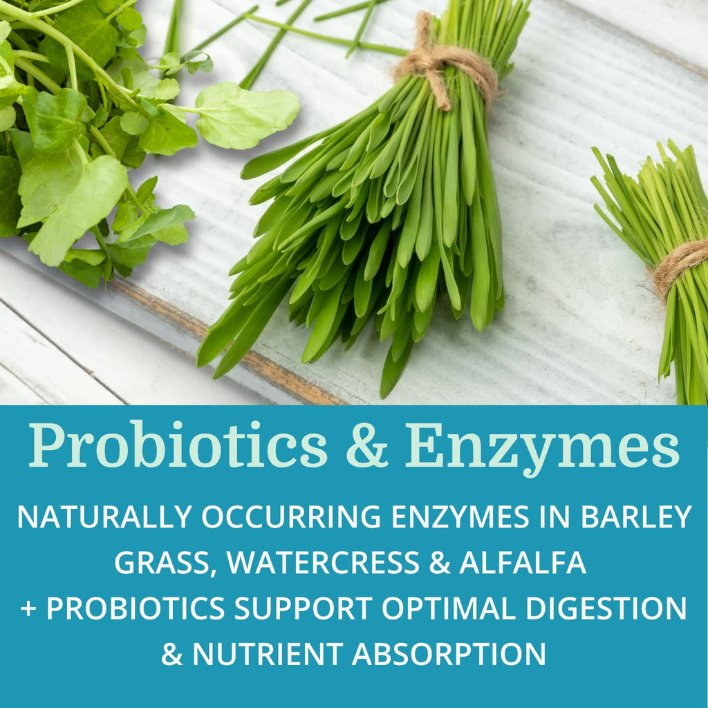 one capsule daily detox solution