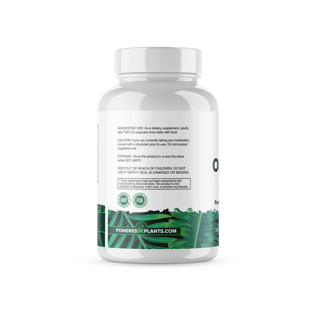 onion bulb extract for digestive health