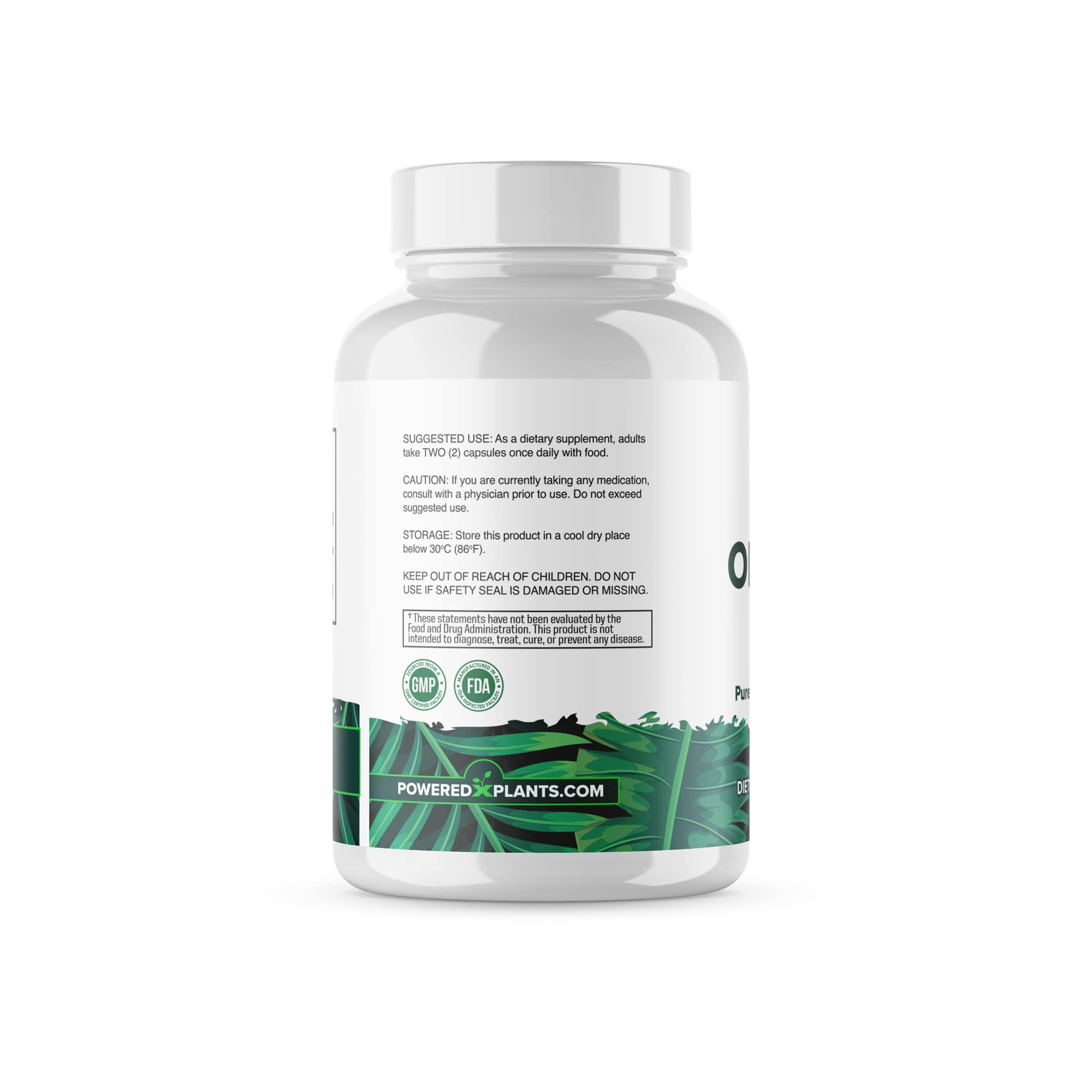onion bulb extract for digestive health