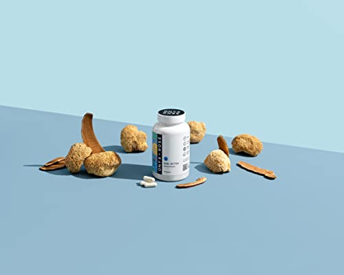 Onyx mushroom capsules for daily wellness