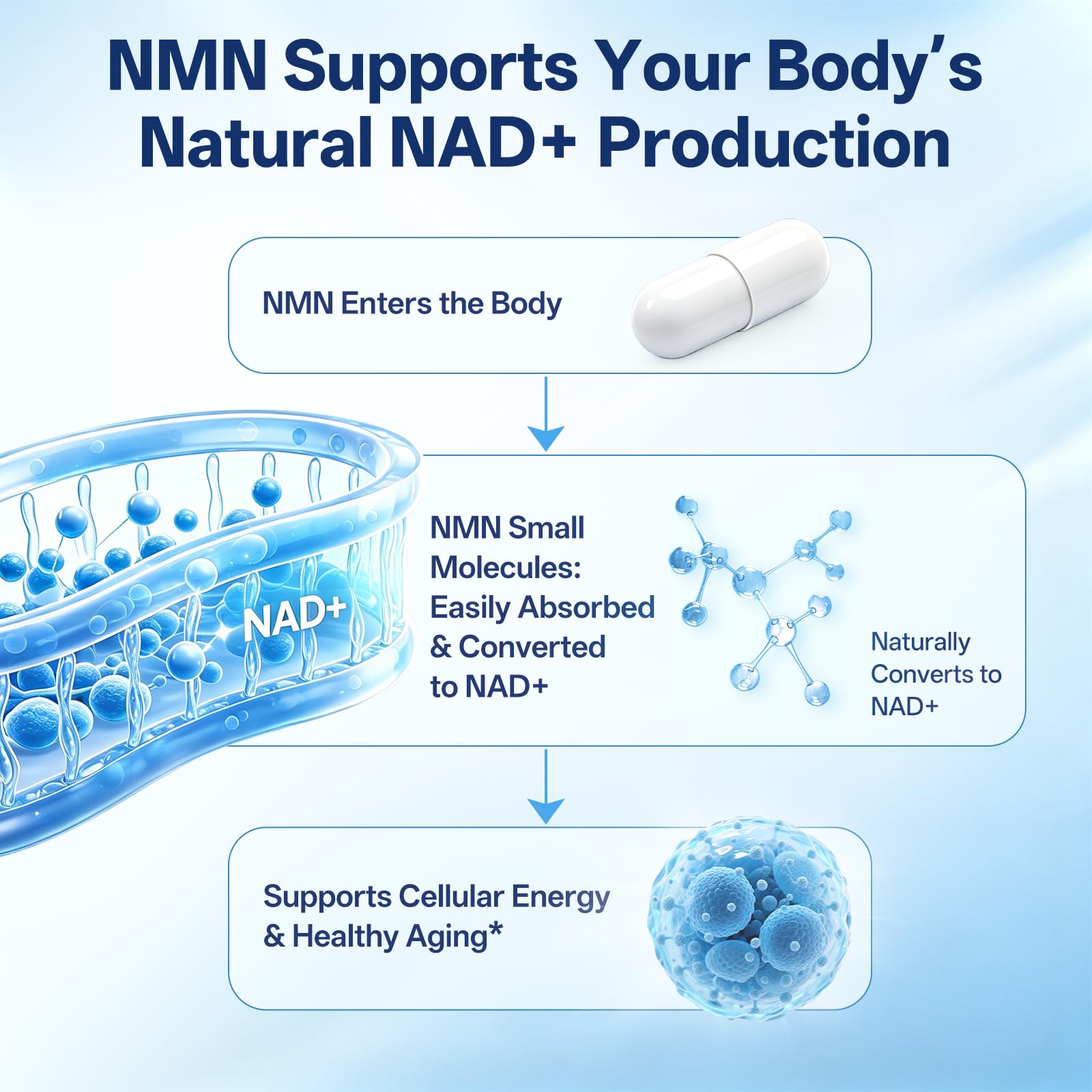 Oopeatol NMN for healthy aging