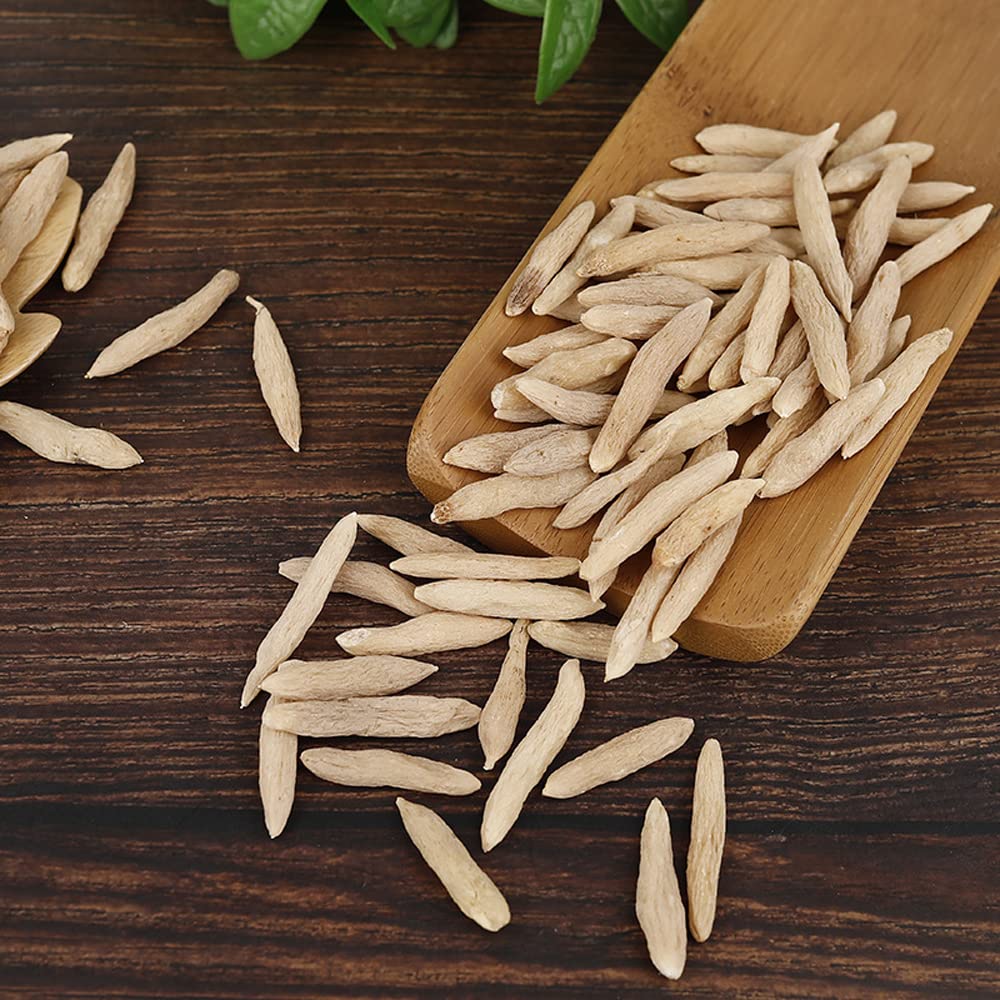 Ophiopogon Japonicus health benefits