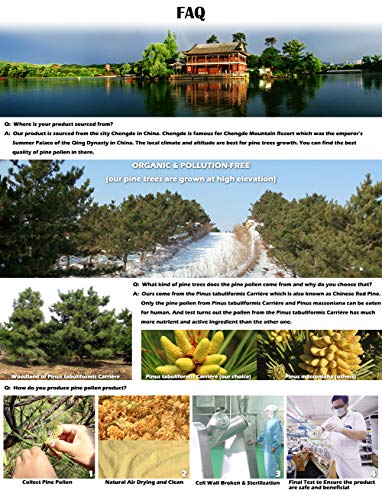optimal absorption pine pollen powder