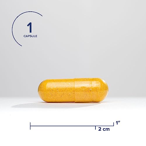 optimal curcumin for daily health support