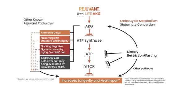 optimal health with Rejuvant LifeTabs