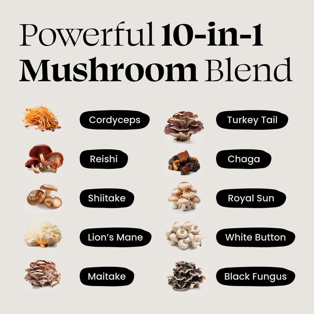 Optimal mushroom blend for stress relief