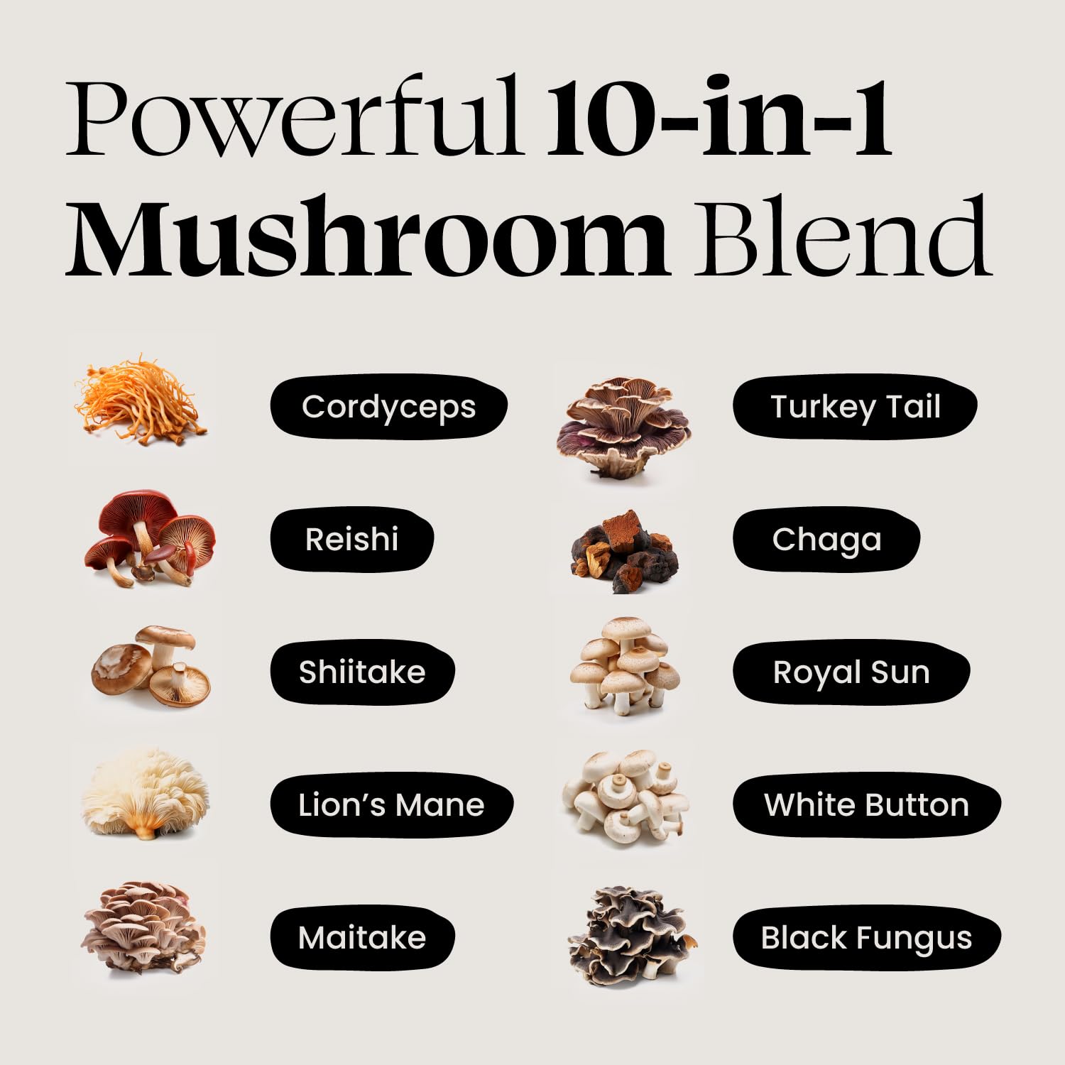 Optimal mushroom blend for stress relief