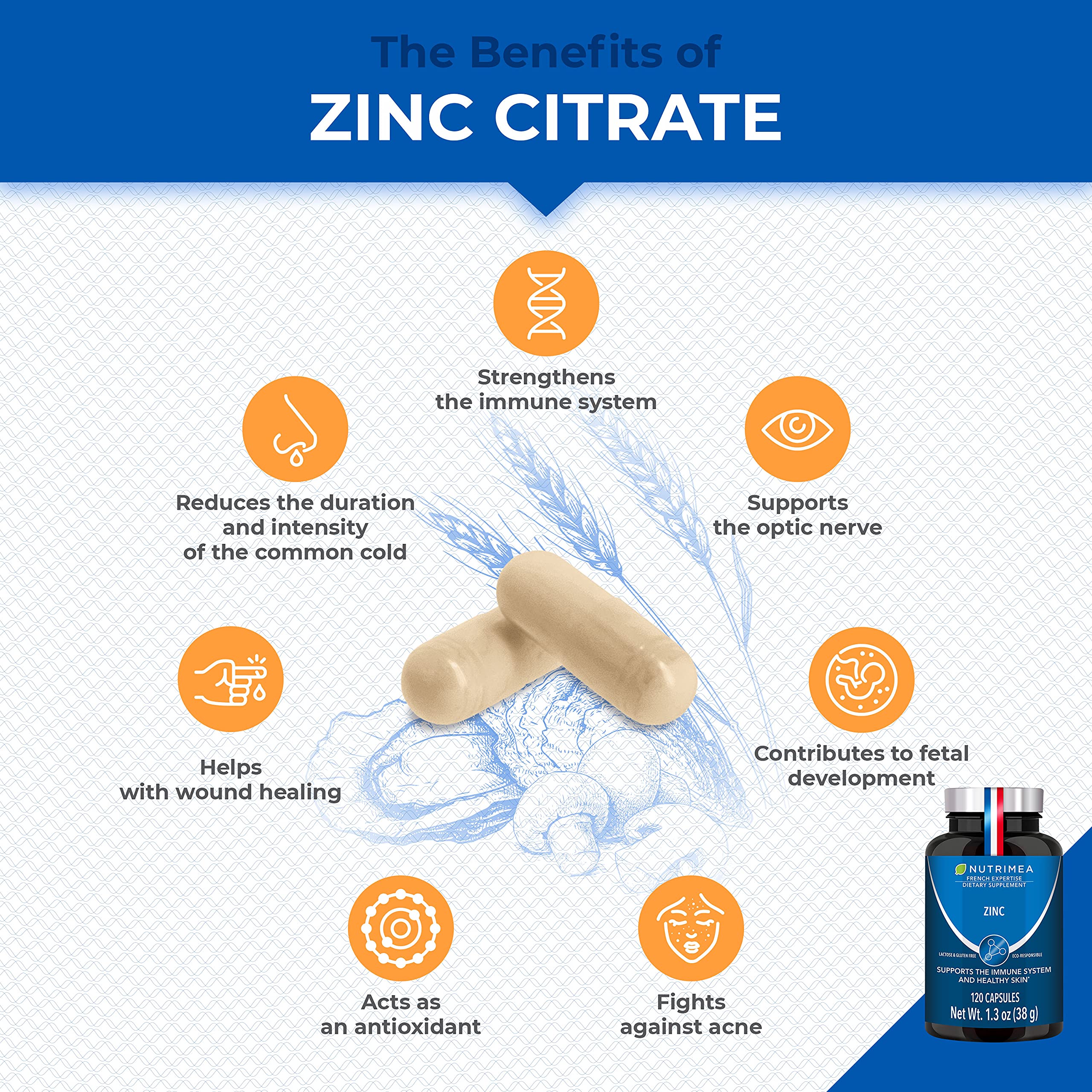 optimal zinc absorption capsules