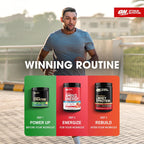 Optimum Nutrition focus and endurance formula