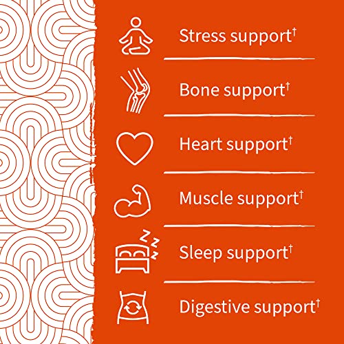 orange cream flavour magnesium gummies for adults