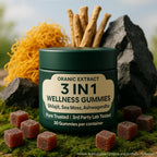 ORANIC EXTRACT Shilajit wellness