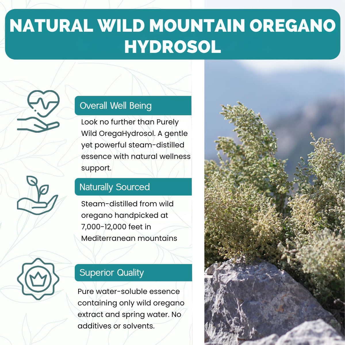 OregaHydrosol for immune support