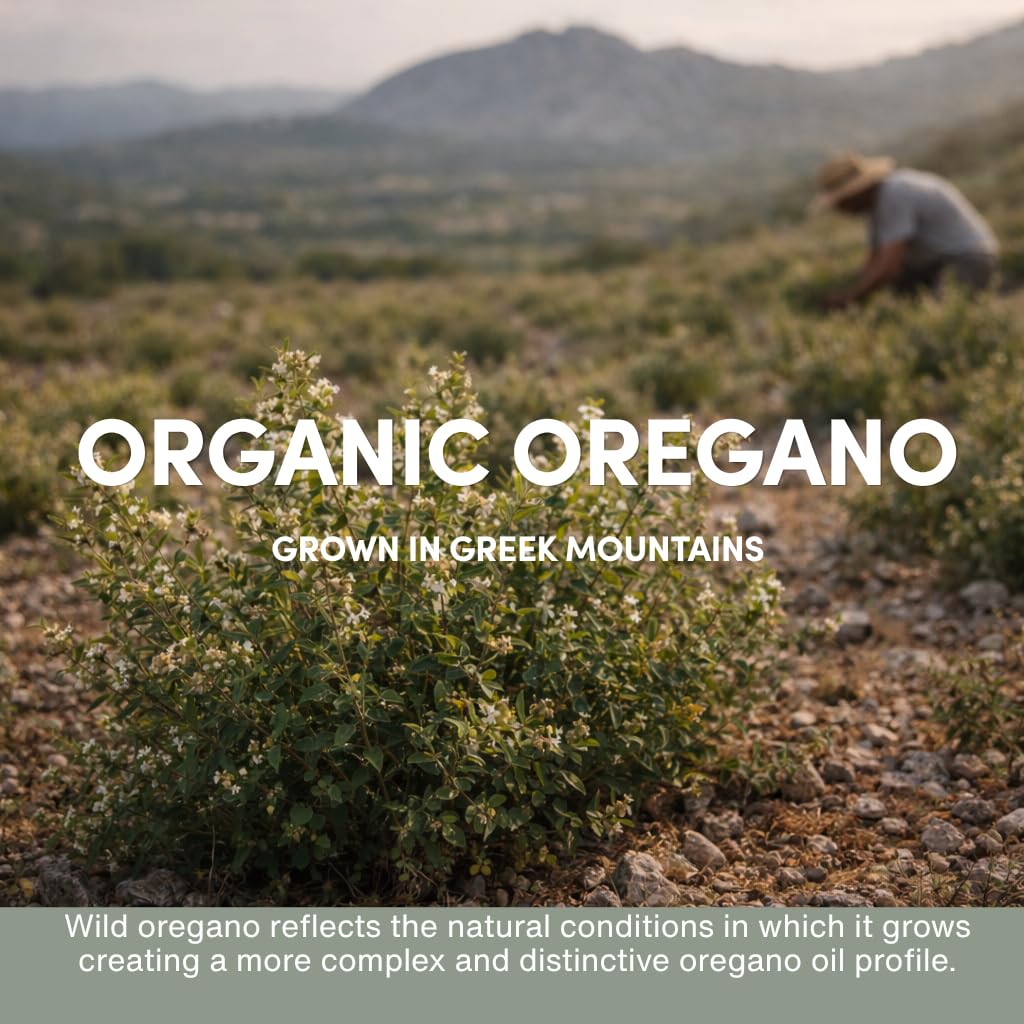 oregano capsules for holistic health