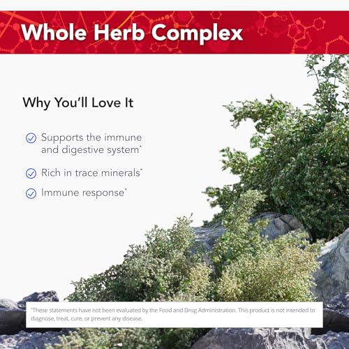 oregano capsules for natural wellness
