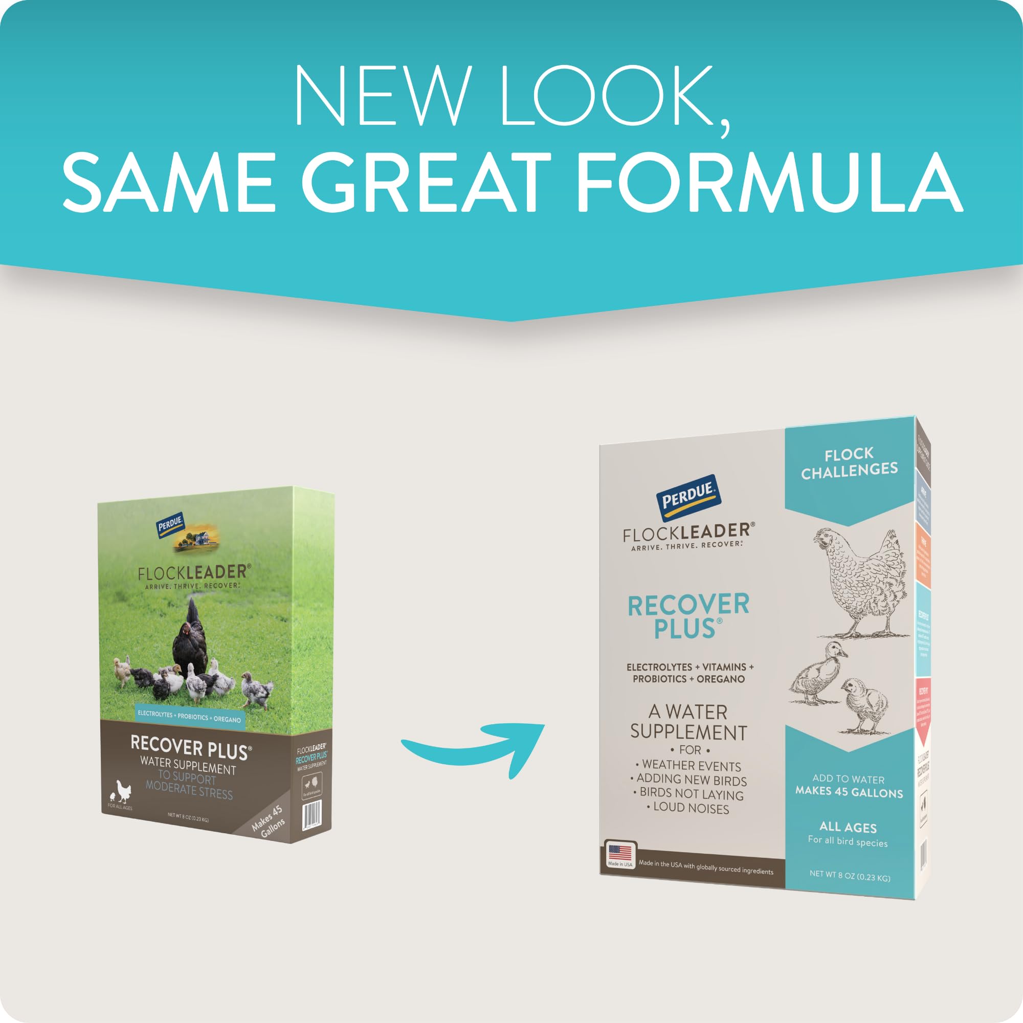 oregano infused vitamin supplement
