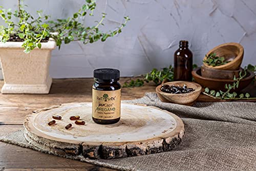oregano oil benefits for immunity