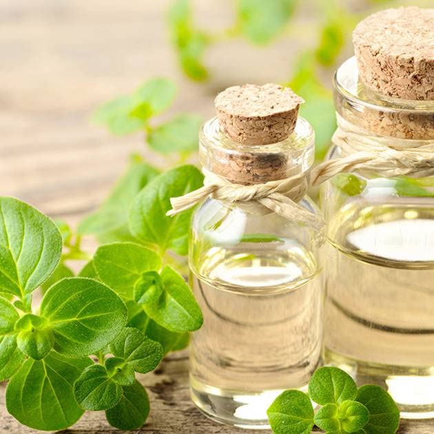 Oregano oil capsules for everyday wellness