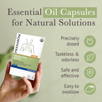 Oregano oil capsules for respiratory care