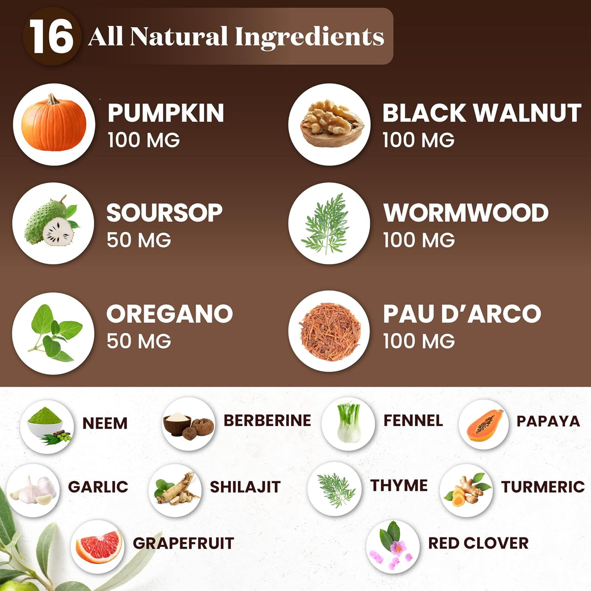 oregano oil drops for digestive health
