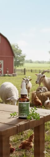 oregano oil for everyday health