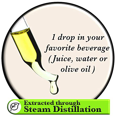 oregano oil for everyday wellness