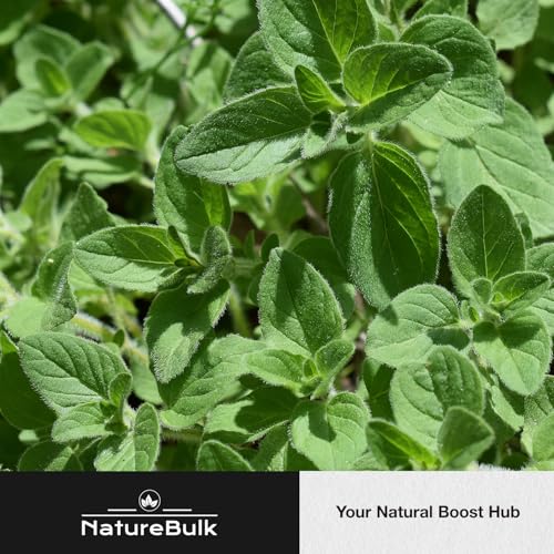 Oregano oil for holistic health solutions