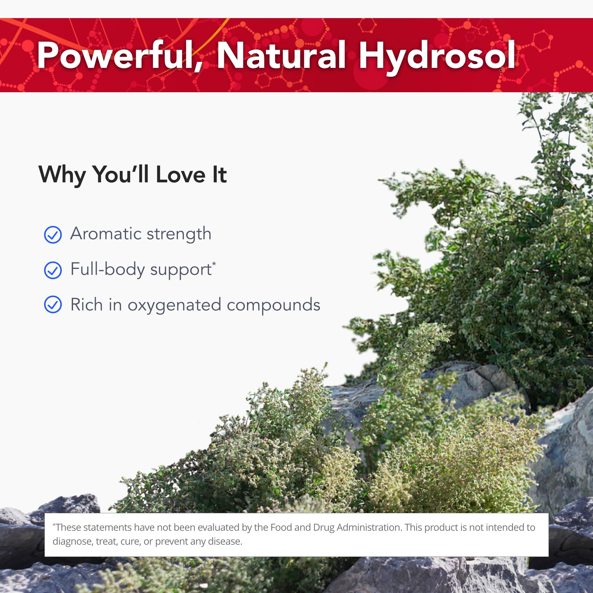 oregano oil for immune support